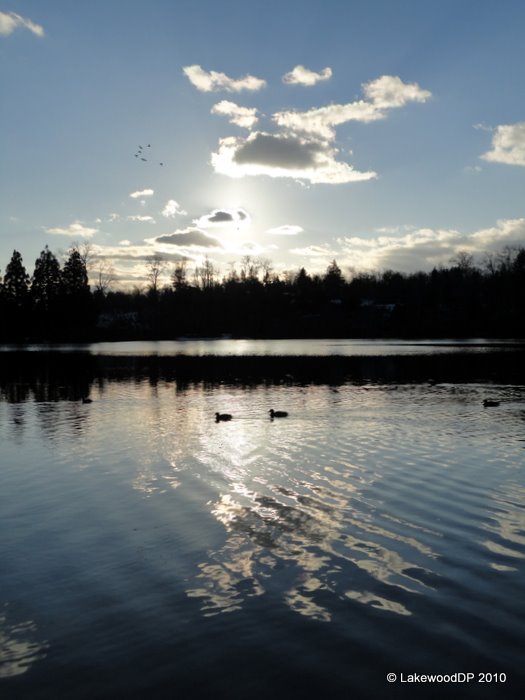 Lakewood Daily Photo: Sun Shining on Waughop Lake