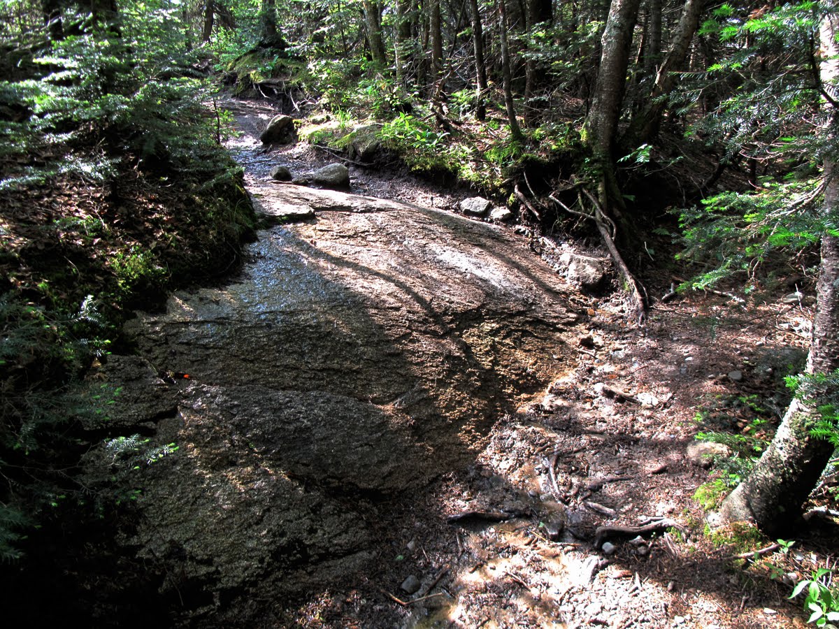 White Mountain Sojourn: 6-18-10 Franconia Ridge
