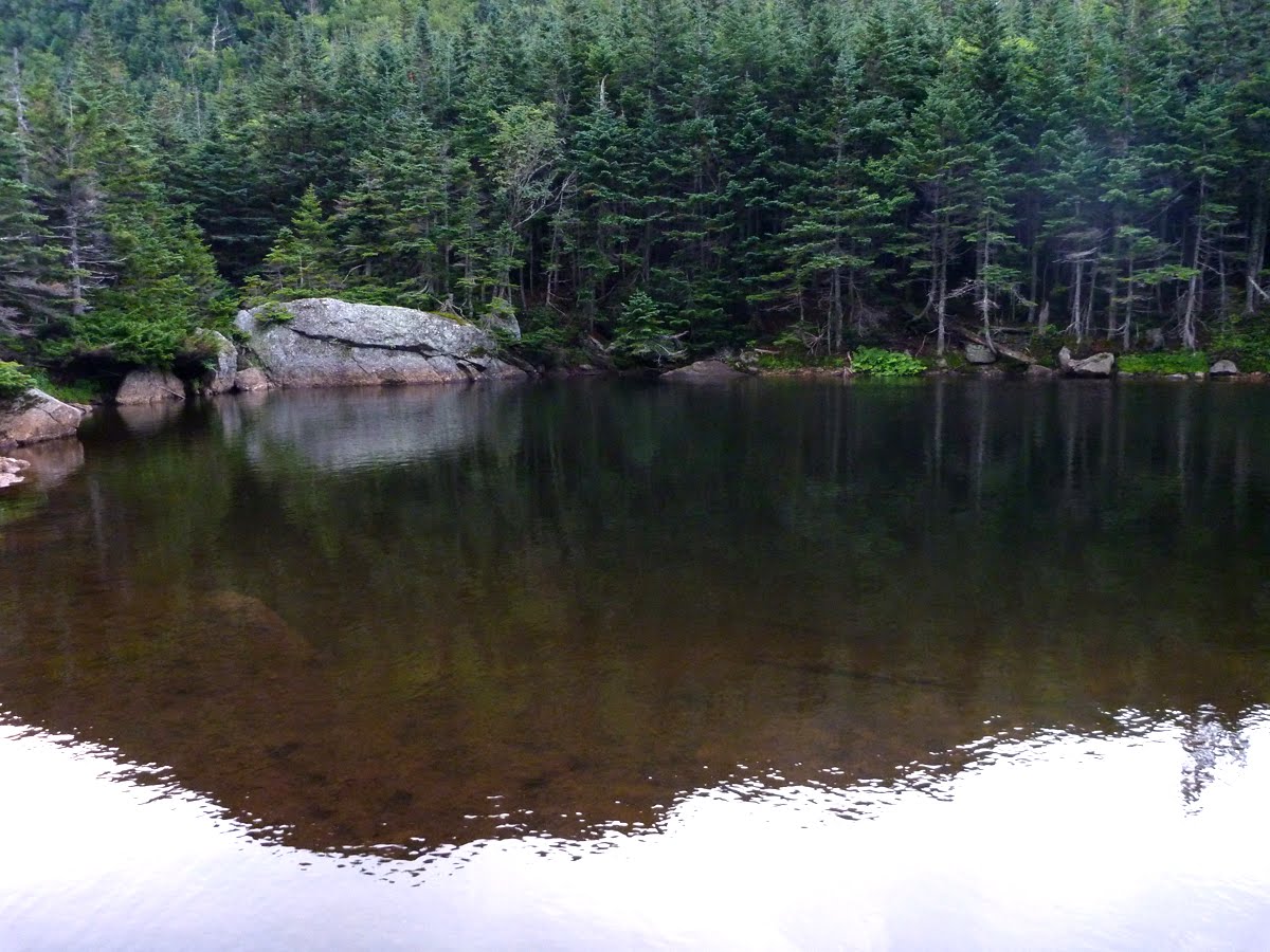 White Mountain Sojourn: 7-19-10 Carter Notch on a rainy day