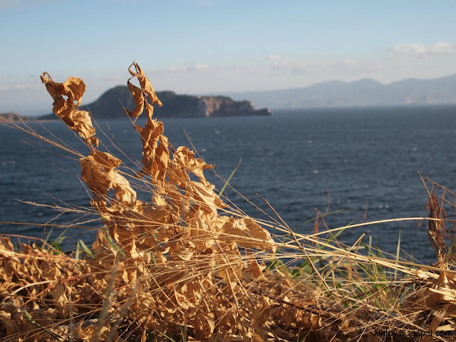 Science in the Philippines: Philippine-Made Rockets