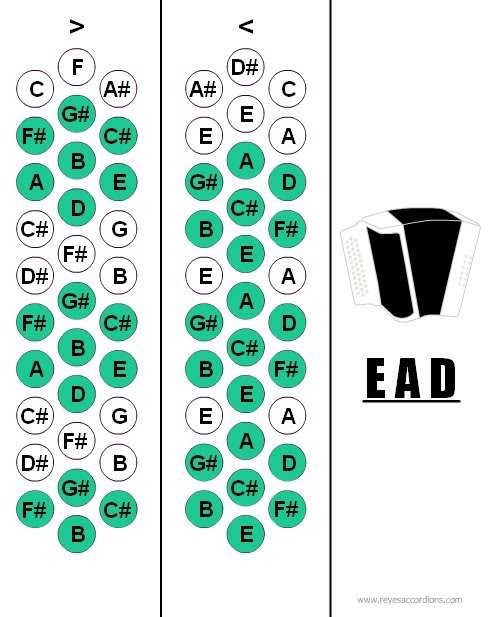 La Fisarmonica Mx: Notas Acordeón Mi (EAD)
