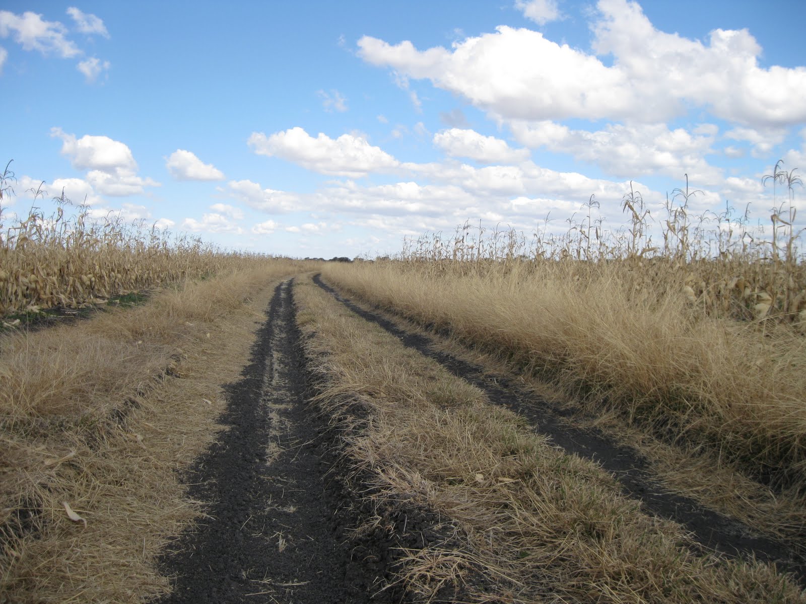 Plaasjapie: Op die plaas...