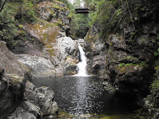The Blog of Finian: Waterfalls UBC Research Forest Maple Ridge