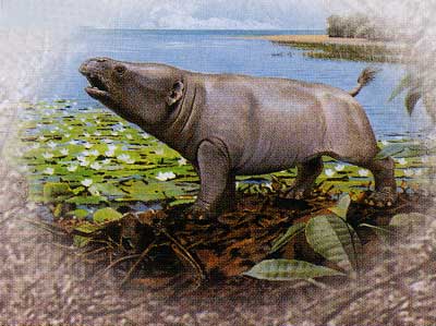 Arca dos Extintos: Phosphatherium