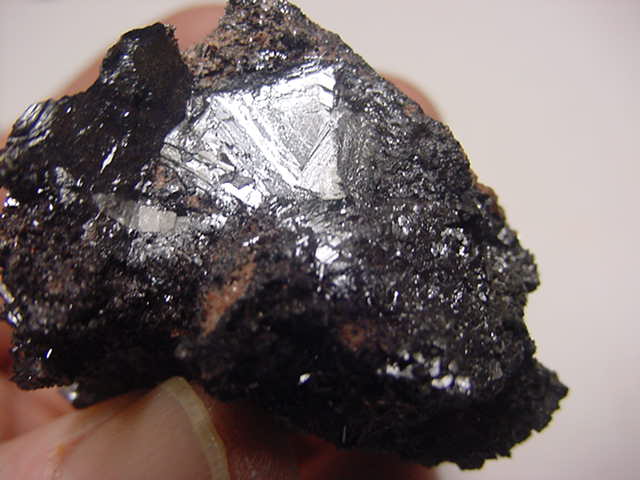 Geologi Makassar: MANGAN