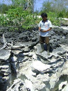 Geologi Makassar: Zeolit