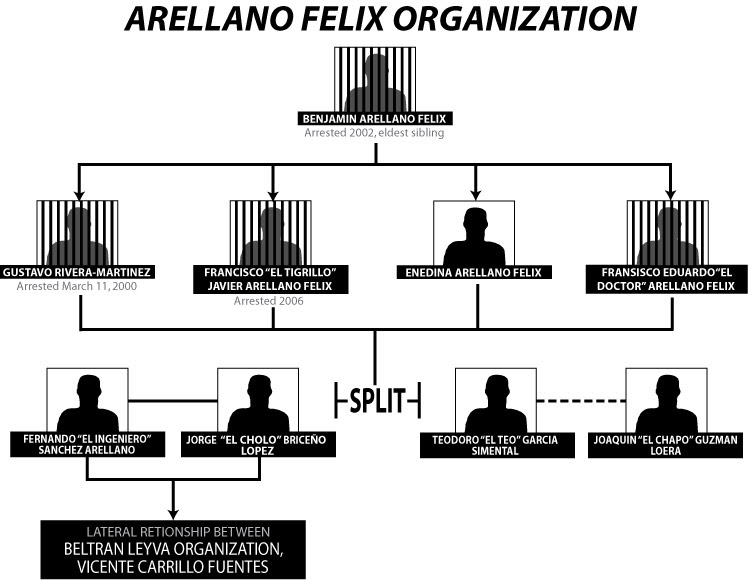 Arellano Felix Organization The Tijuana Cartel ~ Borderland Beat