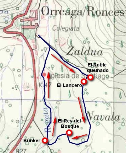 Senderismo y montaña en Roncesvalles: ruta 2: Árboles singulares de ...