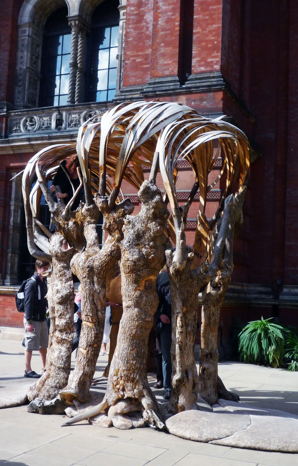 Photo blog: Ash Tree-Norwegian