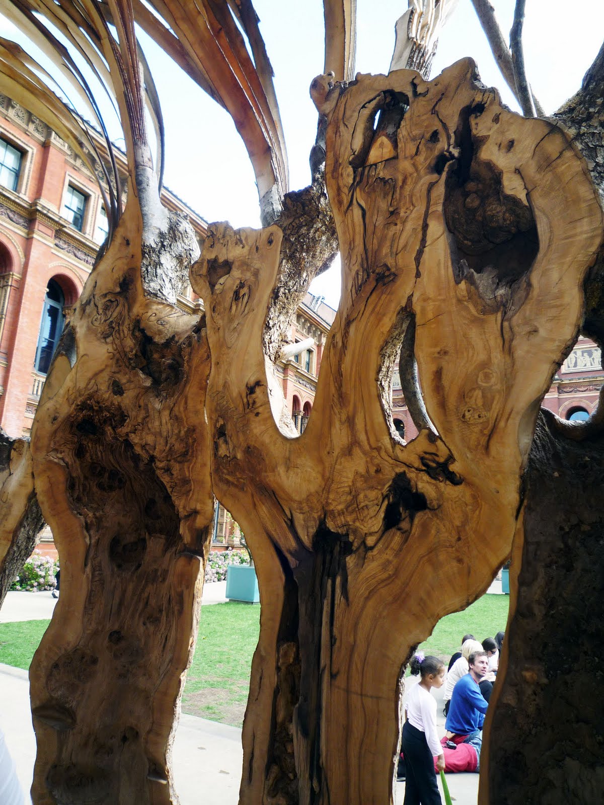 Photo blog: Ash Tree-Norwegian