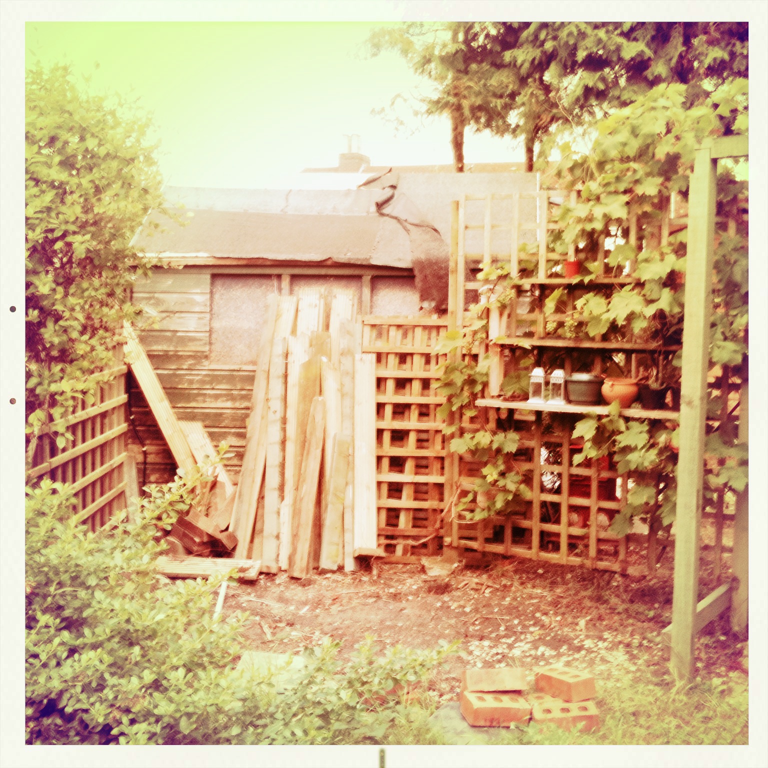 LUMILYON: Shadow Gardens