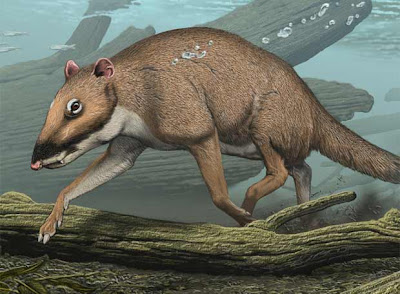 Lo crudo y lo cocido, reflexiones de un salvaje: INDOHYUS:EL ESLABÓN ...