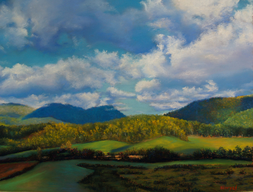 Art Gal: Susan Meyer Sinyai