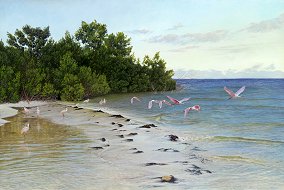 Art Gal: Charles Rowe