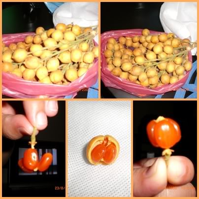 ~ Sharing is Caring ~ Pnut Online~ Menulis Sejak 21 May 2001 ~ Cerita ...