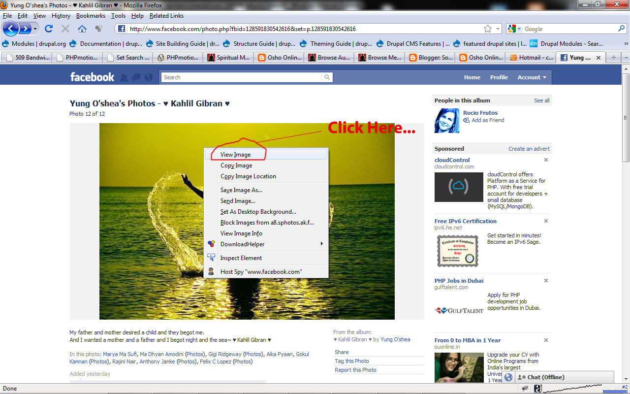 How to Use Facebook Images, Pictures, Pics in your Blog | Website