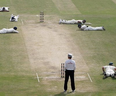 funny cricket pictures