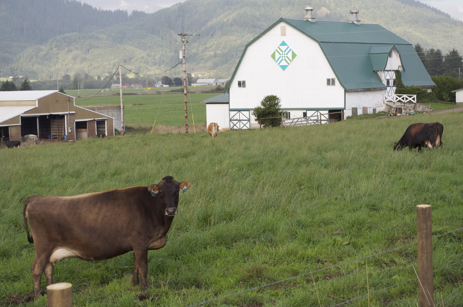 Wonkyworld: Tillamook County Quilt Trail