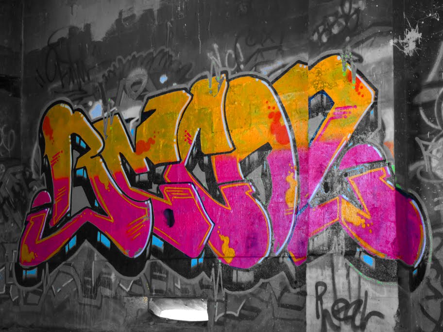 salt lake graffiti - Bryan Johnson