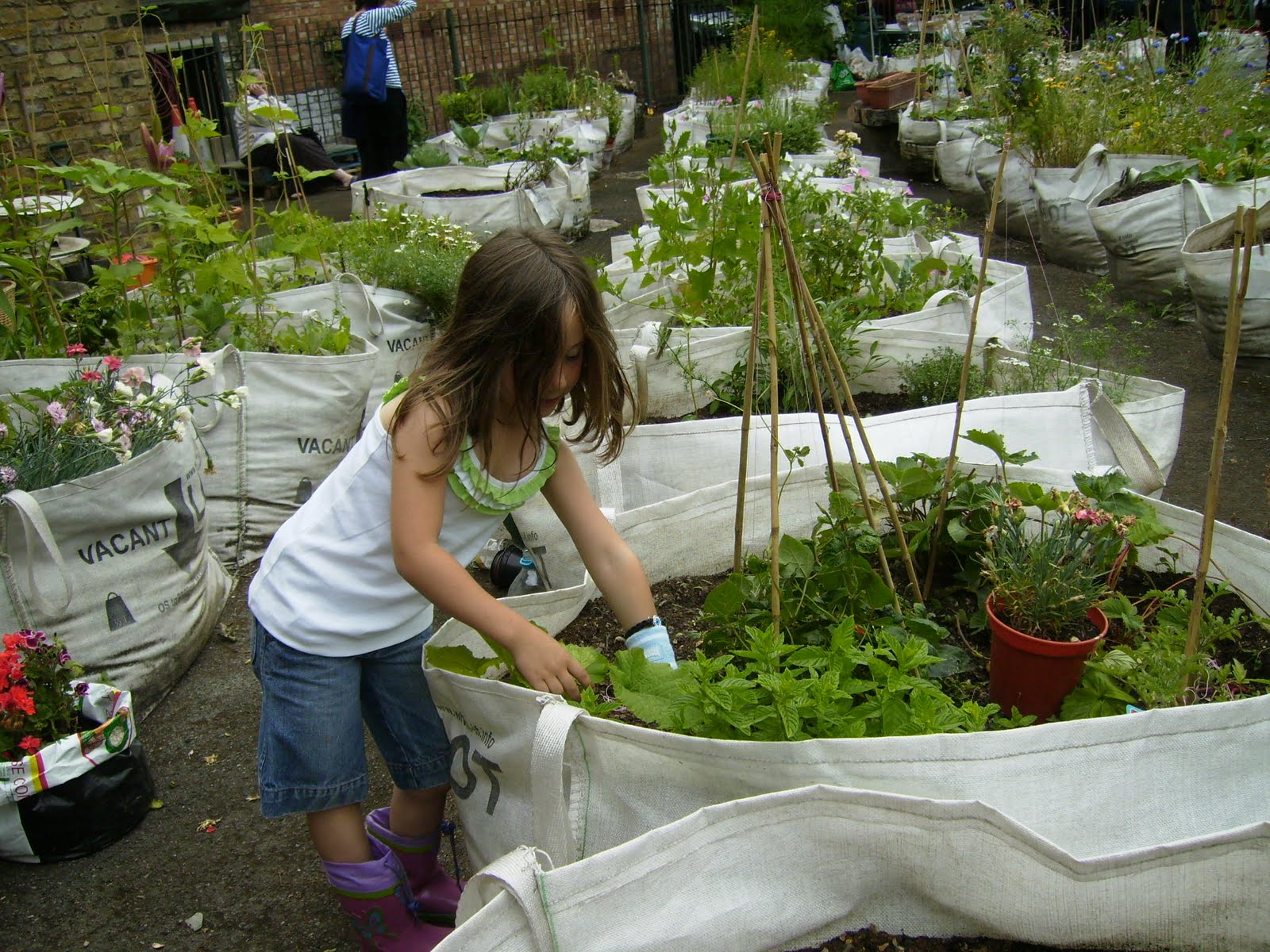 Alexis Rowell for a Greener Camden: June 2010