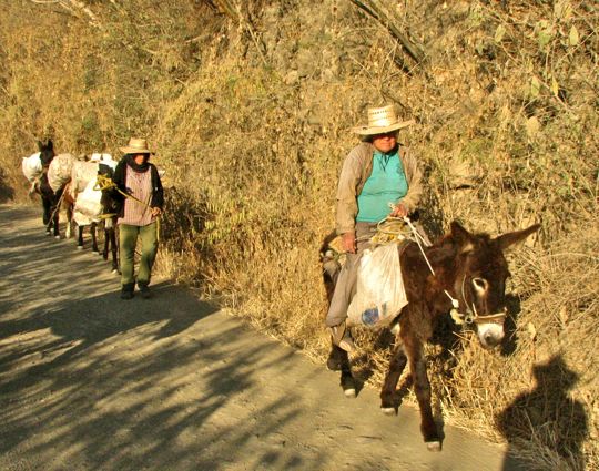 Jim & Carole's Mexico Adventure: The Tapalpa Waterfall Expedition, Part 2