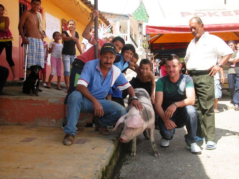 MEDIOS CIUDADANOS Y COMUNITARIOS SANTUARIO RDA: Se entragaron Marranos ...