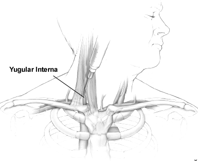 ODONTOLOGIA/ESTOMATOLOGIA: triangulo de sellidot