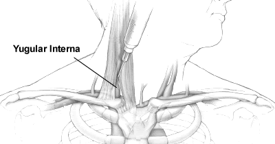 ODONTOLOGIA/ESTOMATOLOGIA: triangulo de sellidot
