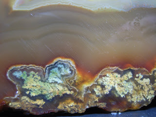 Carey and Priday Plume Agates