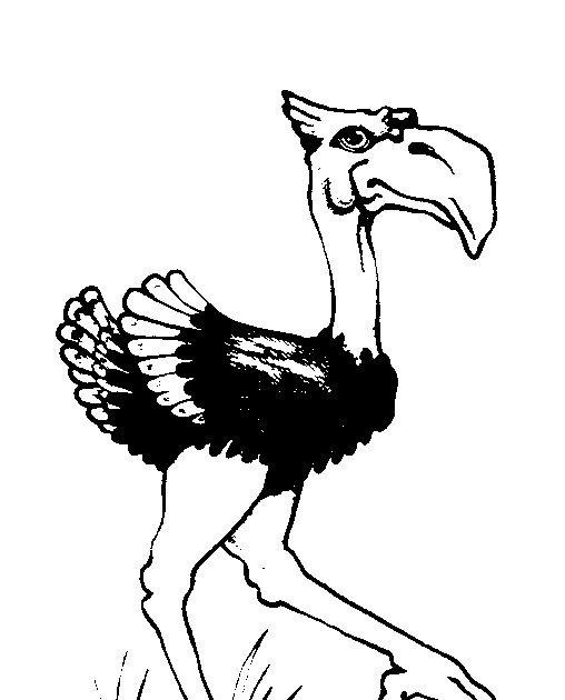 Fruitless Pursuits: D&D, Day by Day - Axe Beak