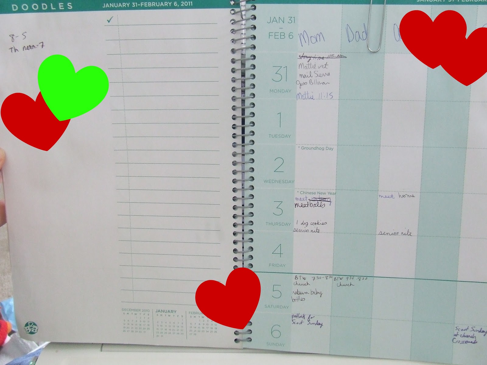 It's a jungle in here!: January 2011