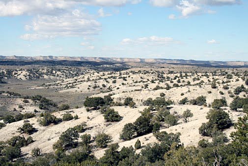 Bit Tooth Energy: Charcoal, Oil Shale and the Ecoshale process in Utah