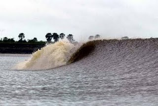 TGT2010: Espetáculo da Pororoca pode levar 50 Mil ao Pará