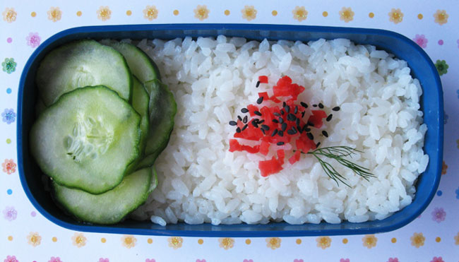 Sonoma Bento: Chicken and Rice Bento