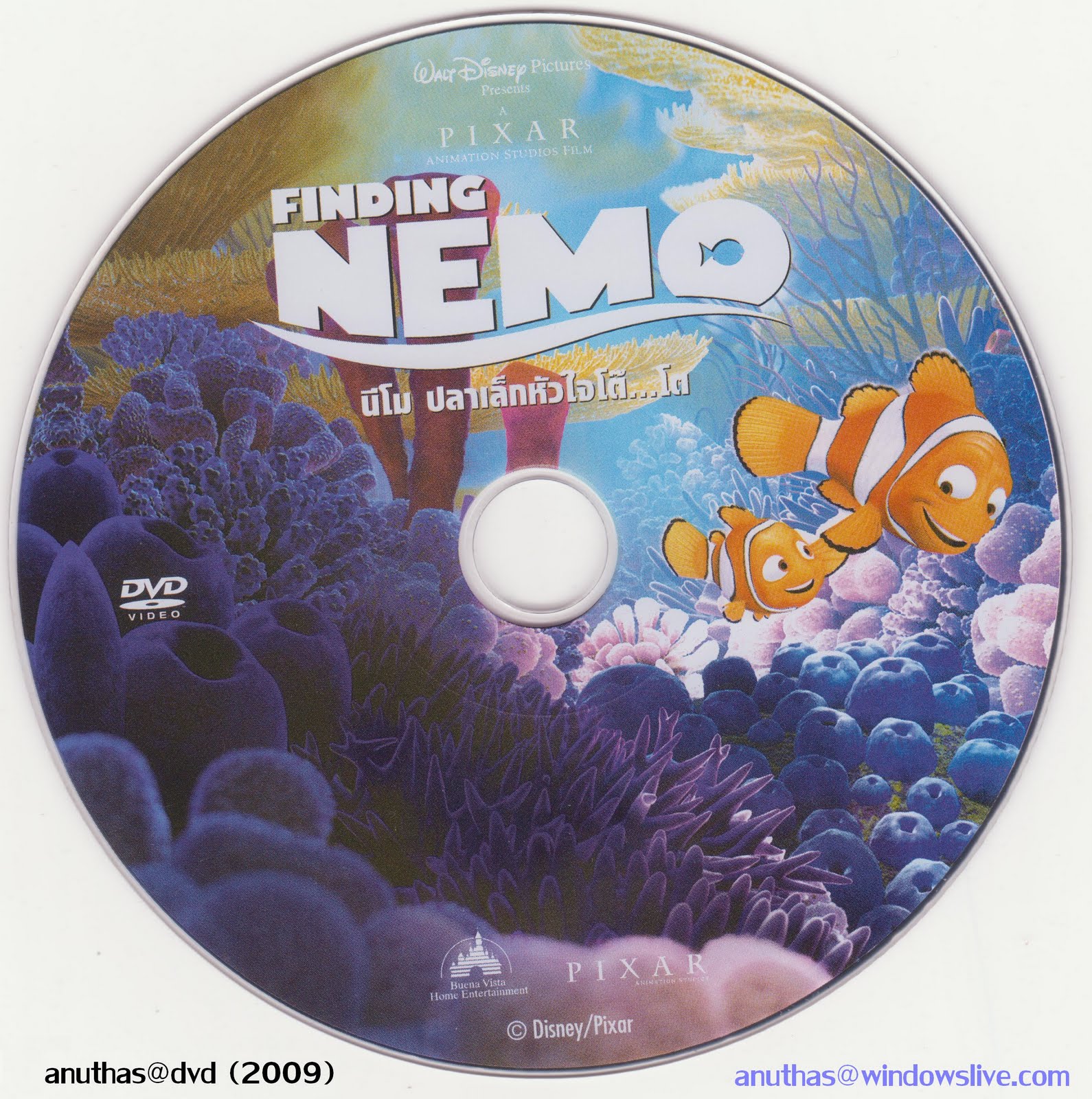 อันดับหนึ่ง 92+ ภาพพื้นหลัง การ์ตูนนีโม่ ปลาเล็กหัวใจโต๊โต พากย์ไทย ...