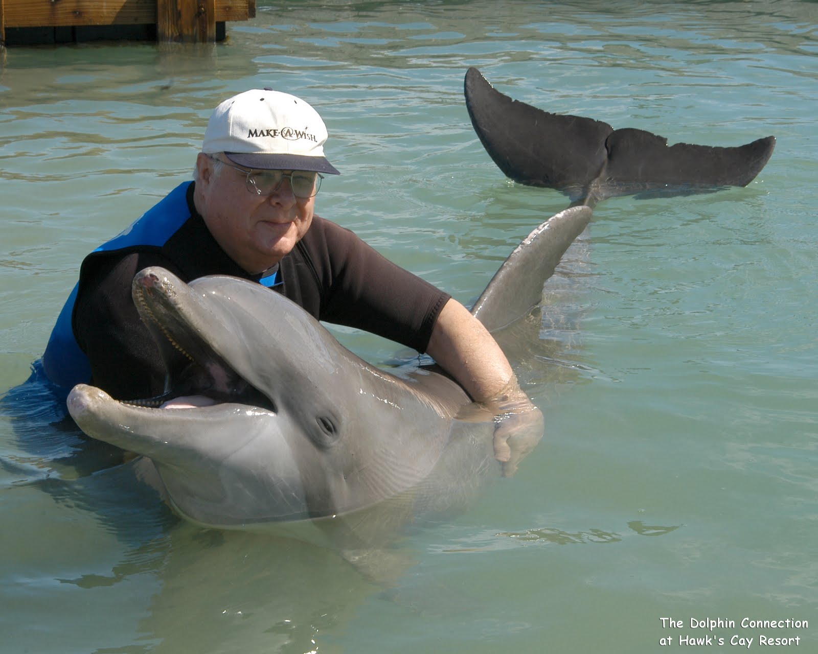 Big Daddy Dave: Dolphins Equal Happiness!