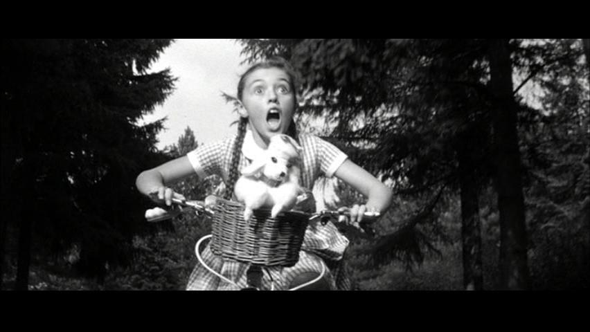 Eternal Sunshine Of The Logical Mind: Basking In The Cesspool Of Filth #14