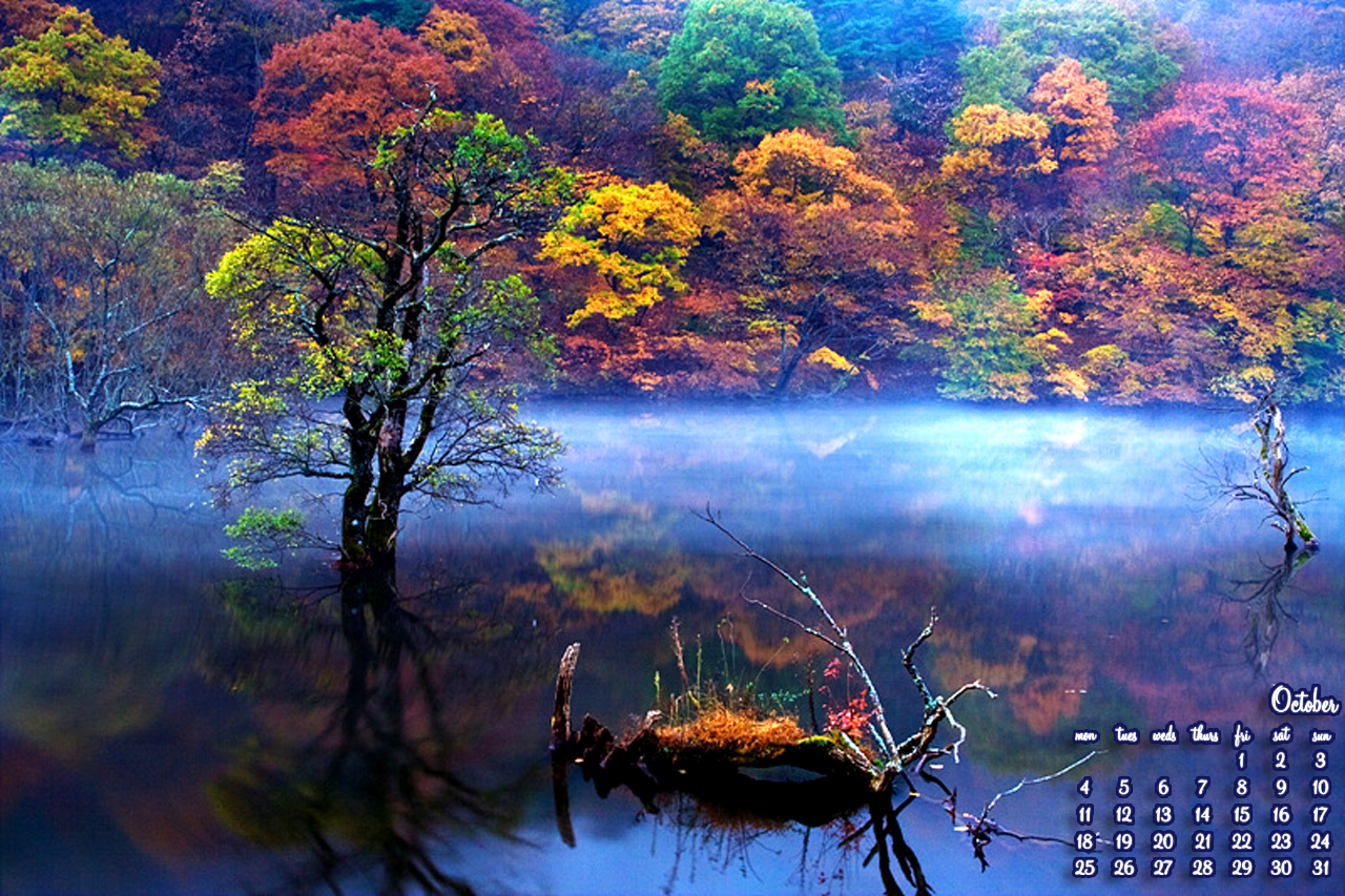 Top 15 Most Beautiful Wallpapers For October | Beauty Zone