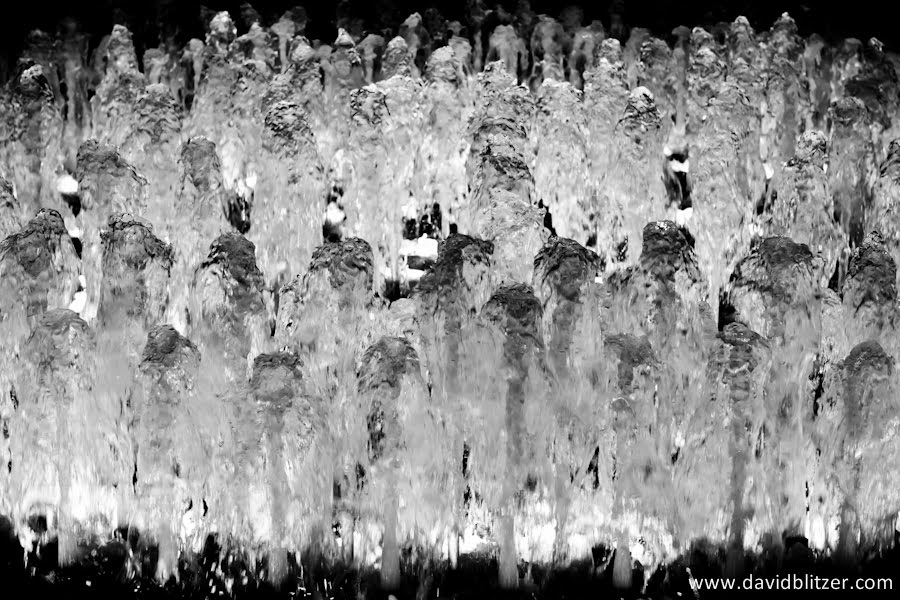 David J Blitzer Photography: September 2010