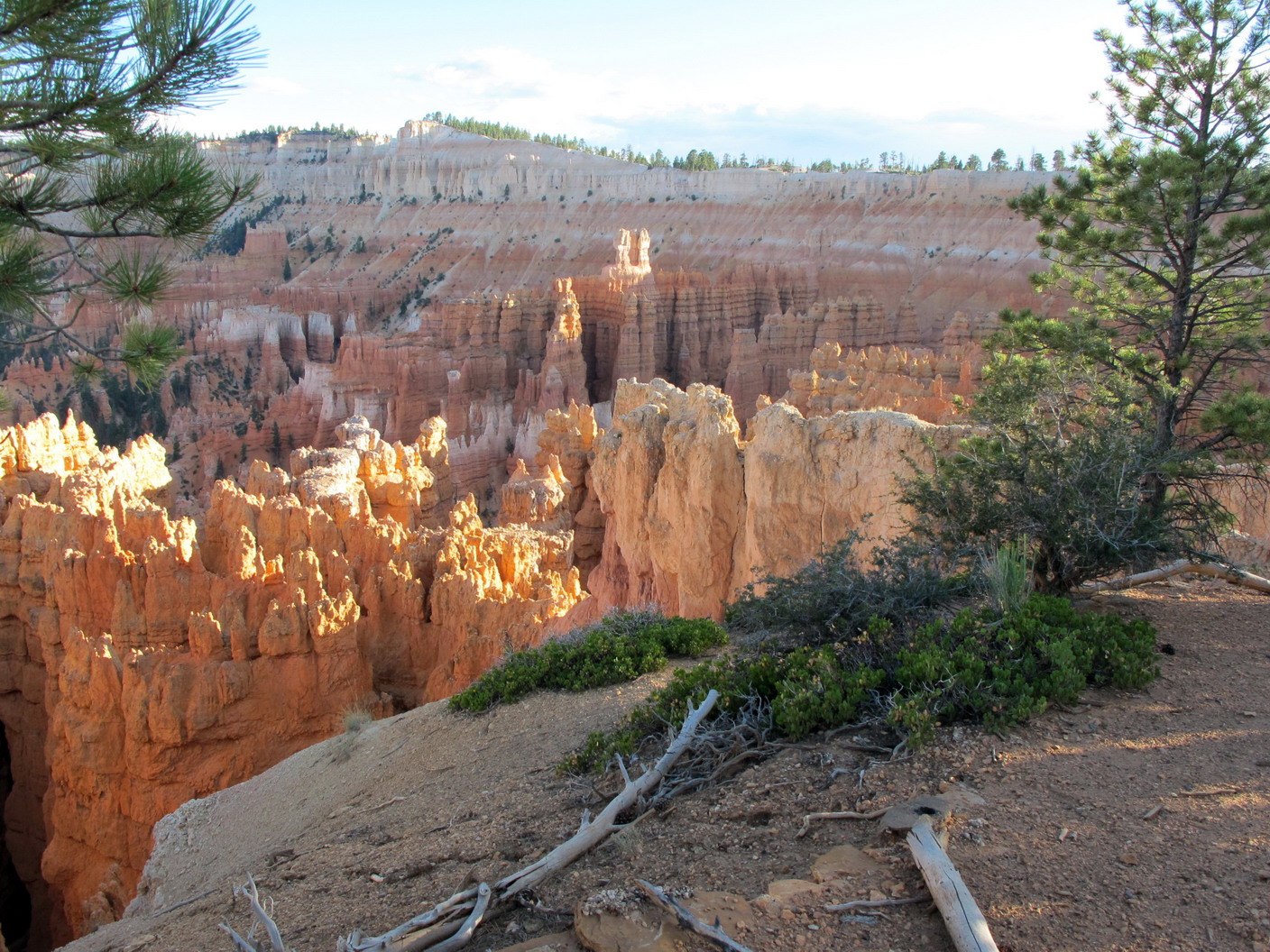 Traveler Al's Wanderings: Touring with the Frenchies - Car Trouble ...