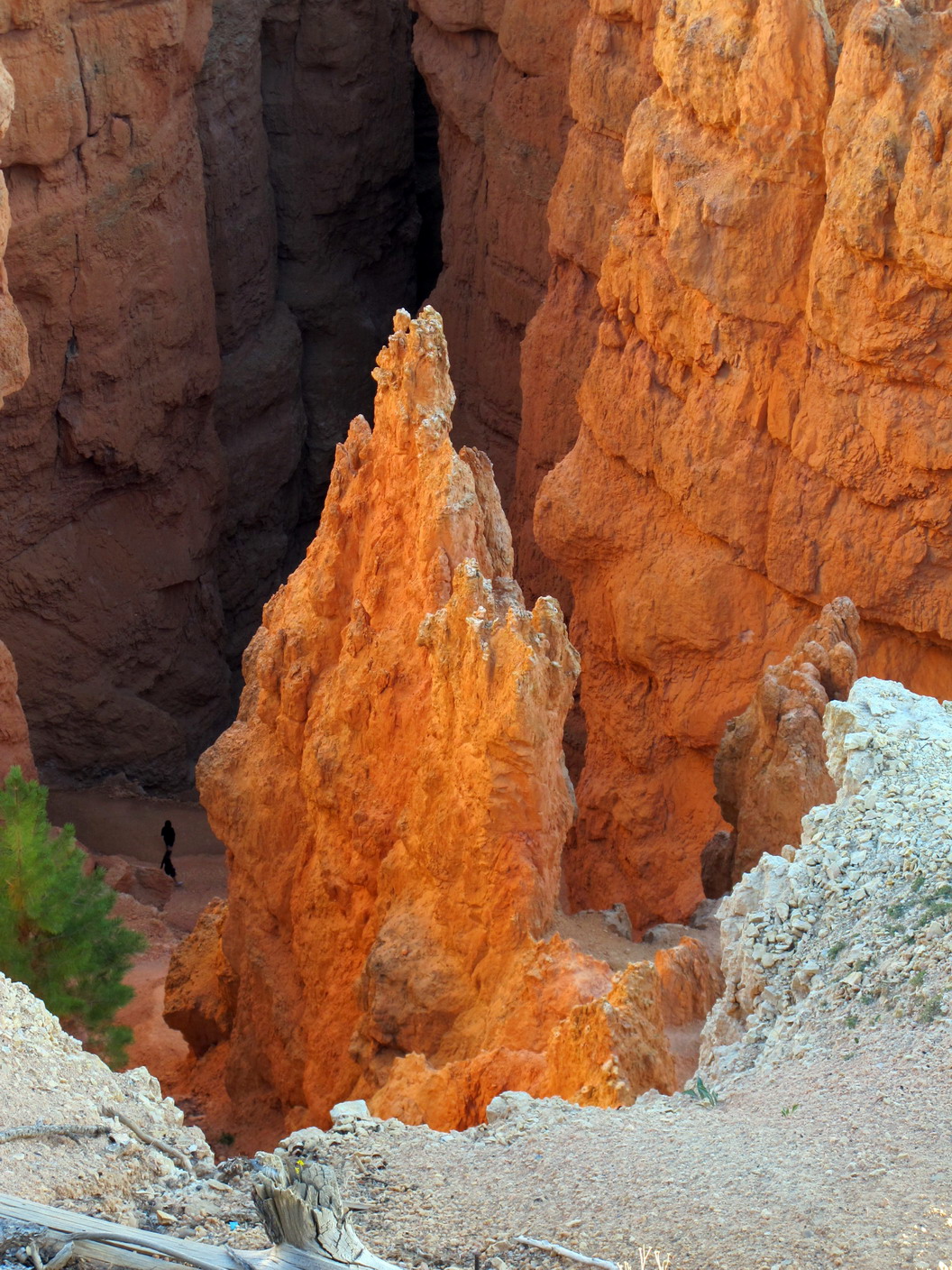 Traveler Al's Wanderings: Touring with the Frenchies - Car Trouble ...