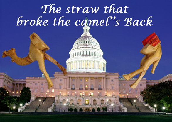 The Straw That Broke The Camel’s Back – Lee's Summit Conservative