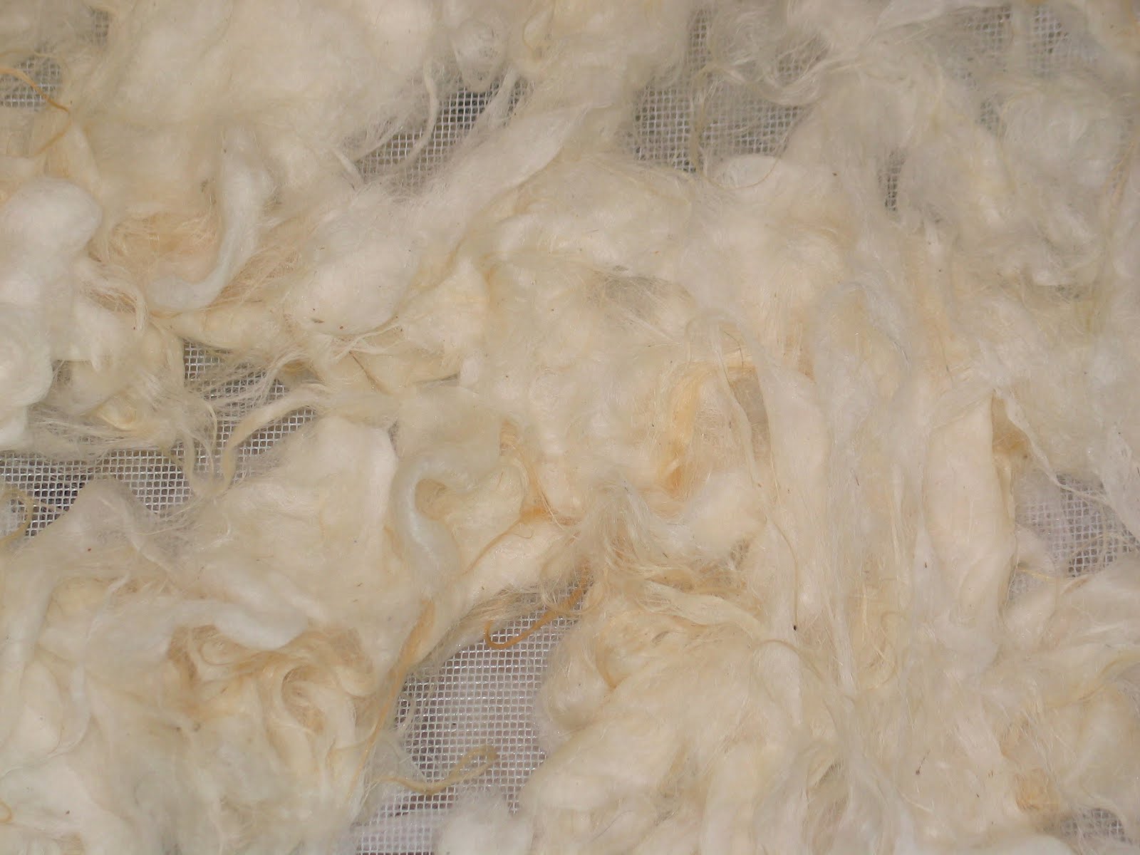 Losing Our Shirts, Keeping The Farm: Quilt Project, Part 2: Fiber ...