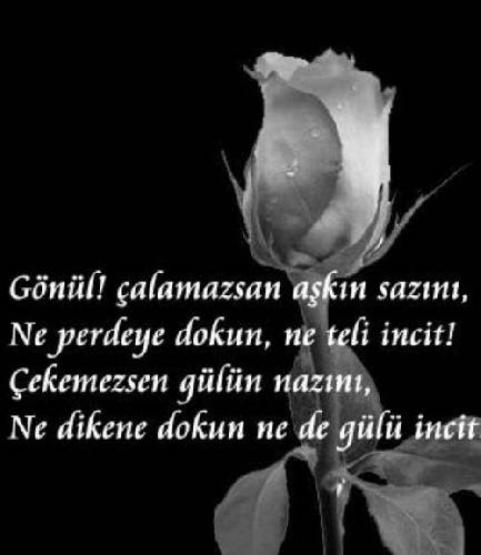 Şiir Defteri: Şiirli Resimler(4)