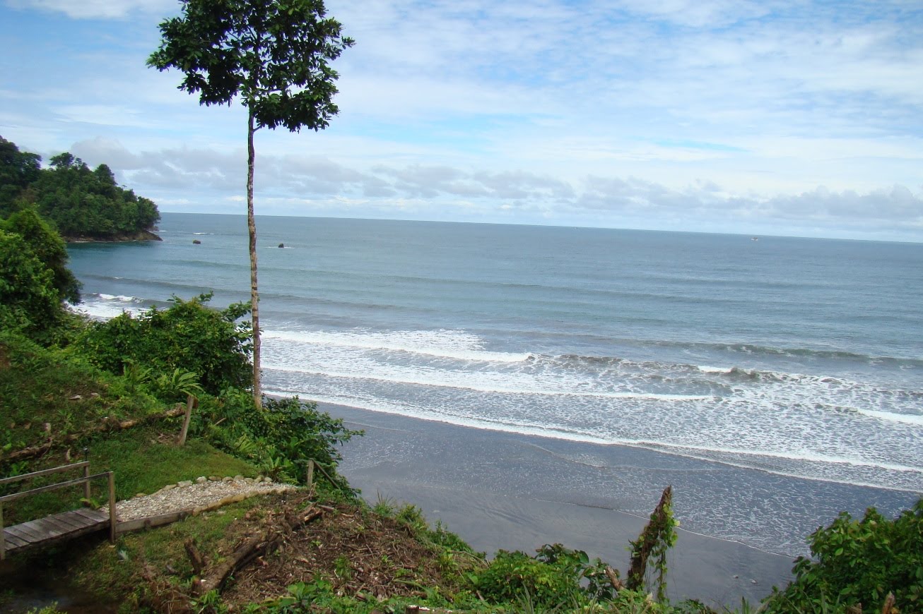 Viajes, bichos y más...: El Chocó