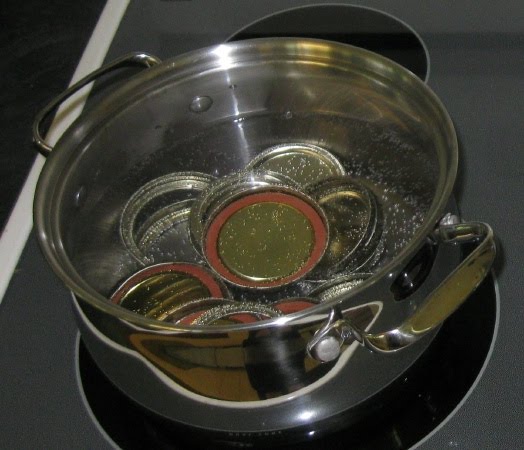 First A Dream: In a Pickle