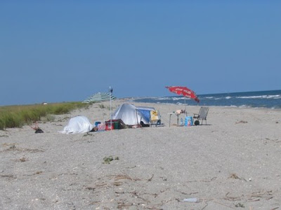 Salvati Plaja Vadu: Imagini Plaja Vadu