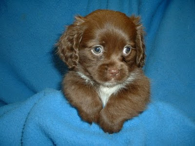 Life is Stranger than Fiction: 8/15/10 - 8/22/10