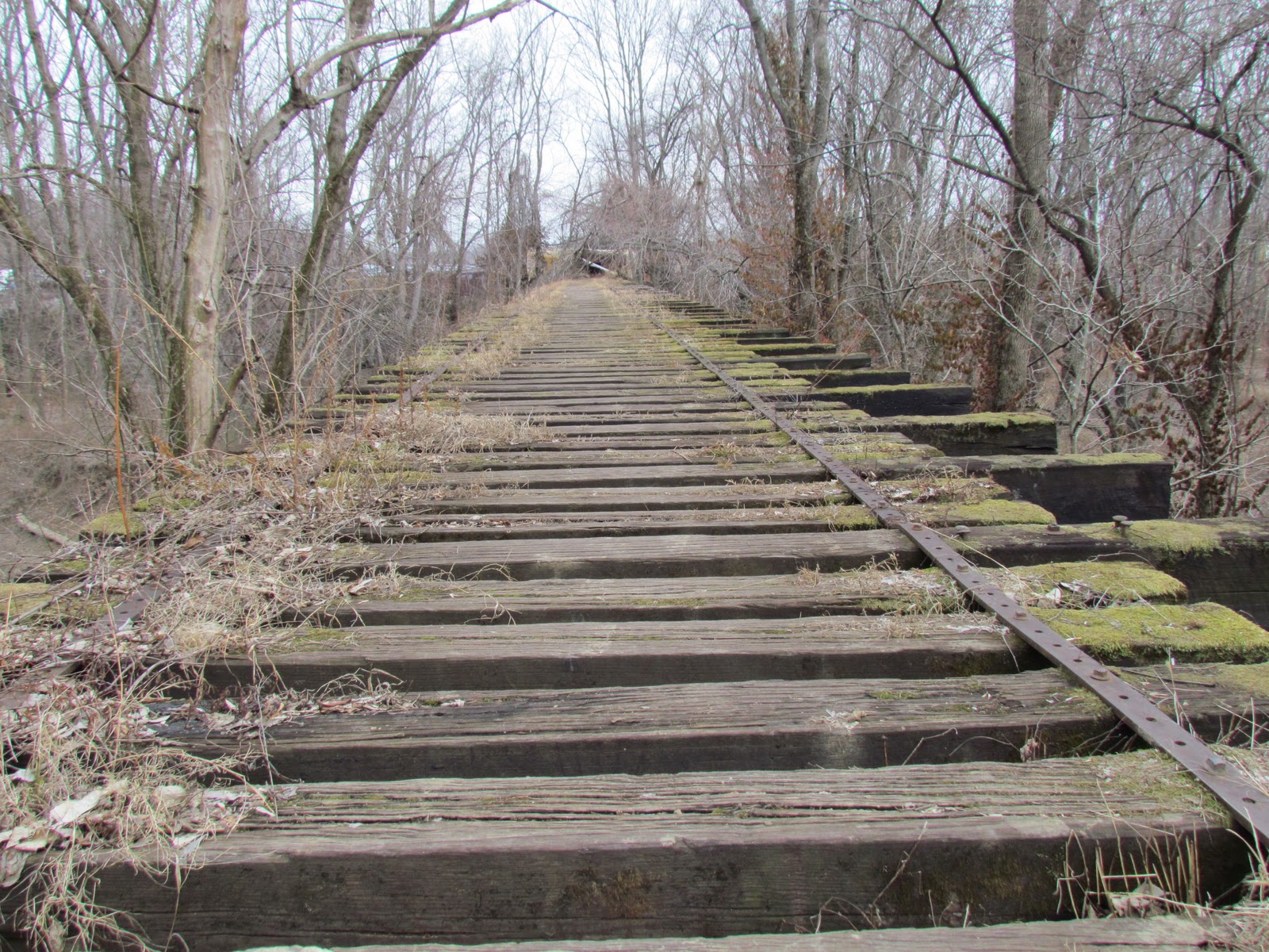 My Friday Column: A look back at a New Albany Gem: LOOP ISLAND WETLANDS