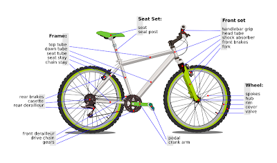 Cozy Beehive: The Kano Diagram Applied to Cycling Products and Services